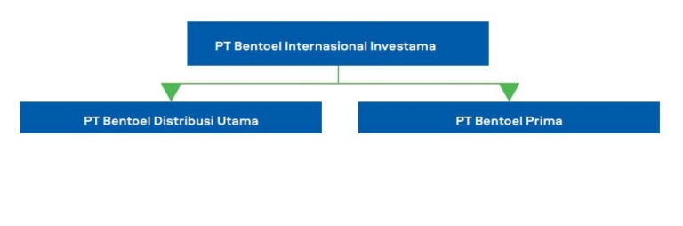 Bentoel Group - Anak Perusahaan